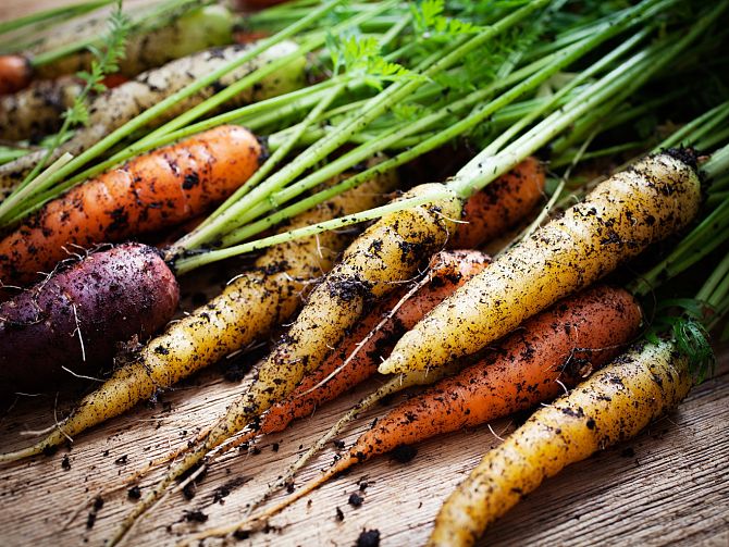 Biologische producten | Oregional